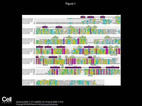 Volume 17 Issue 2 Pages February 2009 Ppt Download