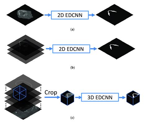 Illustration Of Three Prevalent Strategies For The Feeding Of Input