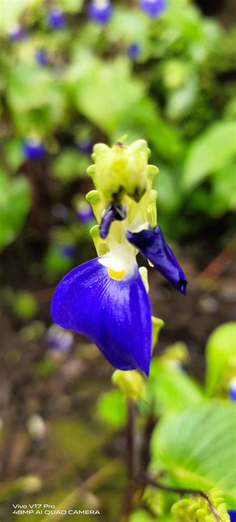 P Aldrin P Aldrin Posted On Linkedin