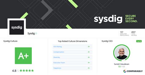 Sysdig Culture Comparably