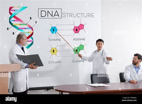 Professors Giving Lecture In Dna Structure In Conference Room