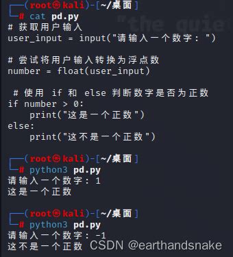 python if else demo 判断数字是否为正数 CSDN博客