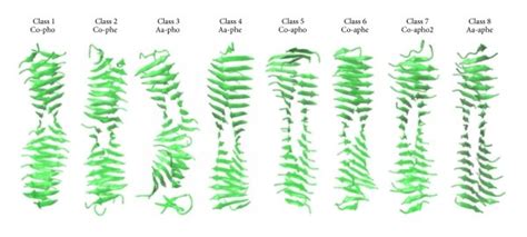 A Structural Models Of Amyloid Fibrils These Structural Models Are Download Scientific