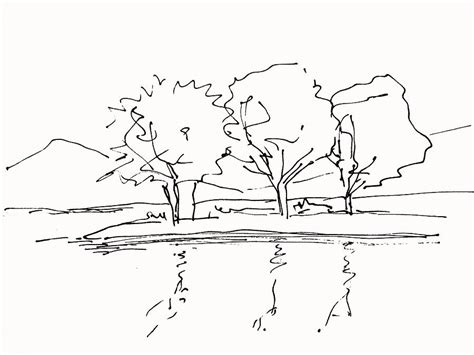 Three Trees Drawing By Karin Stein
