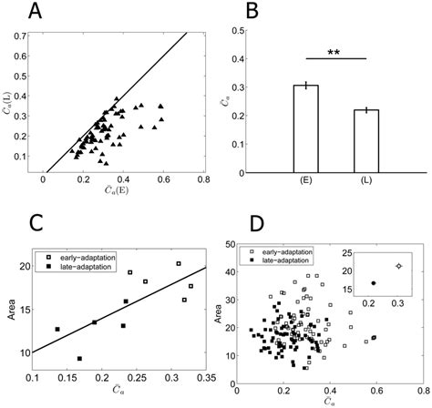 Adaptation Dependent Synchronization A For 70 Neurons In