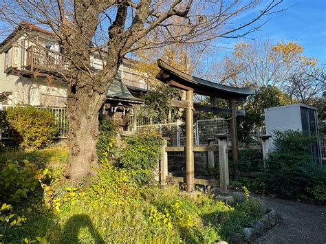 八坂神社（町田市大蔵町）｜散歩日記