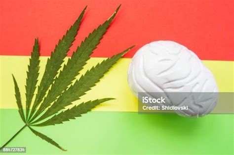 의료 마리화나 잎과 뇌 해 부 그림 빨강 노랑 녹색 Rasta 배경에 누워 Rasta의 문화의 영향을 뇌 생각 창의력 예술적