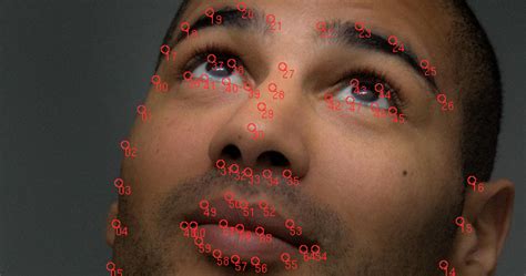 Dlib C Library Correctly Mirroring Datasets