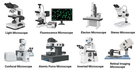 Different Types Of Microscopes And Their Uses