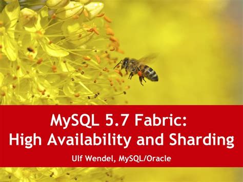 Mysql 57 Fabric Introduction To High Availability And Sharding Ppt