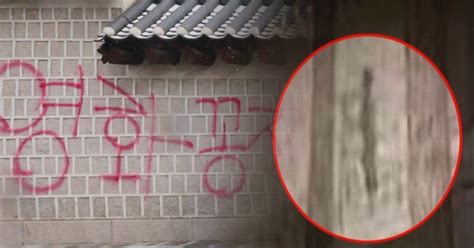 단독 스프레이로 하라 낙서 도구까지 정해준 이 팀장