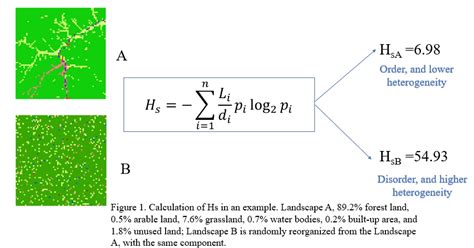 Entropy Free Full Text Spatial Heterogeneity Analysis Introducing