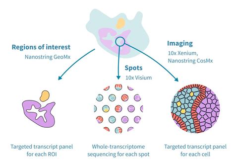 Lost In Space 🌌 Spatial Transcriptomics Is A Rapidly Advancing Field