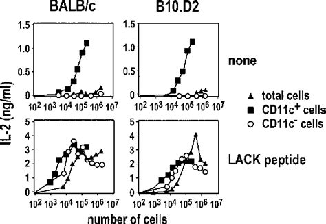 Figure 1 From Cd4 Ϩ T Cell Polarization In Mice Is Modulated By Strain