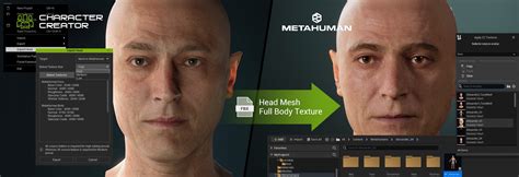 Create Custom Metahumans For Unreal Character Creator