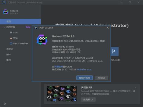 Jetbrains Golandgo语言集成开发环境 202433 直装激活版