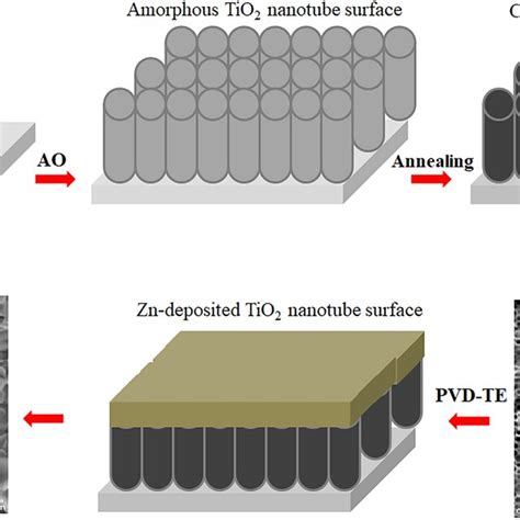 Schematic Representation Of Fabrication Of Zno Based Tio2 Nanotube