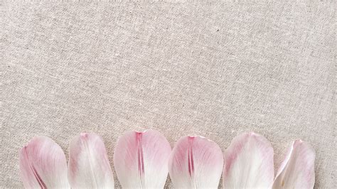 꽃잎 테두리가 있는 중성 베이지색 린넨 섬유 질감 배경 미묘한 자연 미적 웹 배너 또는 블로그 디자인 템플릿 복사 공간 0명에 대한 스톡 사진 및 기타 이미지 Istock