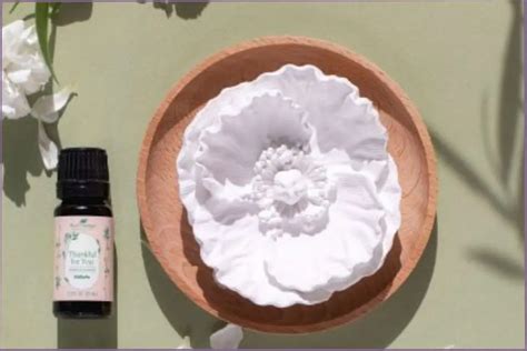 Beginners Guide To Passive Diffusers For Essential Oils Aromatherapy