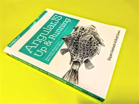 cuốn sách hay nhất giúp học lập trình AngularJS