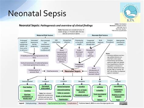 Neonatal Sepsis Antibiotic Guidelines