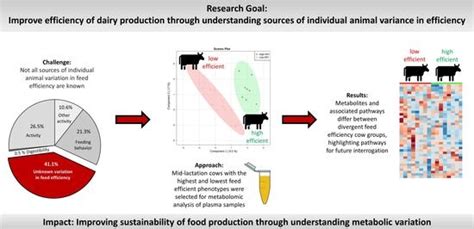 Circulating Metabolites Indicate Differences In High And Low Residual Feed Intake Holstein Dairy