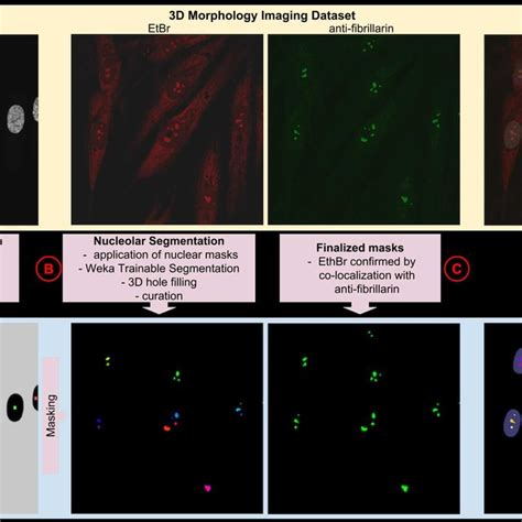 A Schematic View Of The Dataset Segmentation Protocol And Exemplar 2d