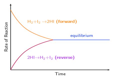 Dynamic Equilibrium Flashcards Quizlet