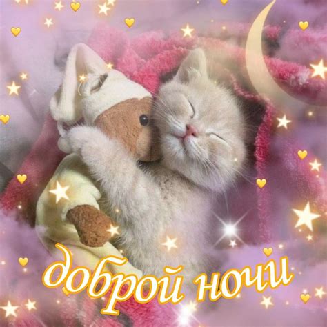 Доброй ночи Cute Cats Funny Cute Cats Kittens
