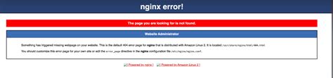 Amazon Web Services Nginx Inside Ecs Suddenly Pointing To Other
