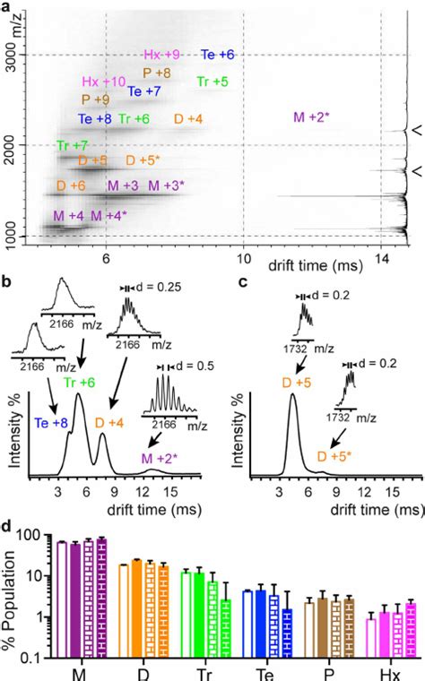 Esi Im Ms Analysis Reveals That A β 40 And A β 42 Oligomerize