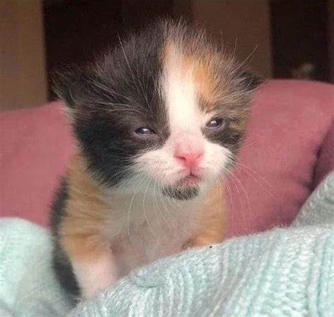 Alexander Berezovskyi On Linkedin Work Job Bug Bugfix Debug Fix Development Programming