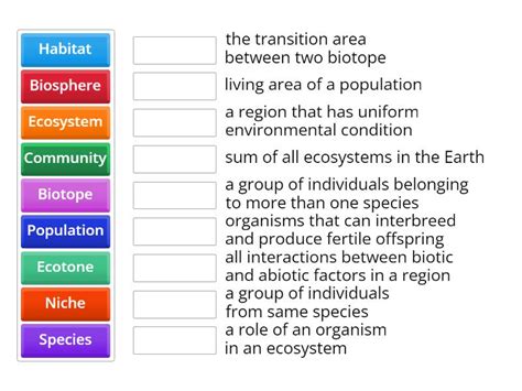 Ecological Terms Match Up