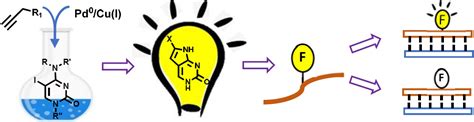 Exploring Nucleobase Modifications In Oligonucleotide Analogues For Use As Environmentally