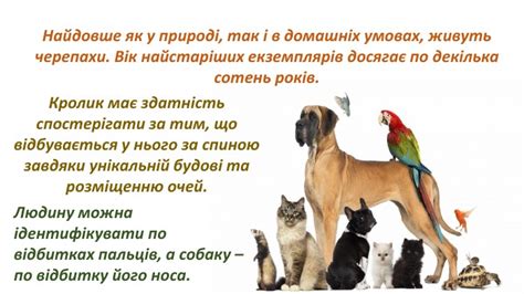 Презентація Всесвітній день домашніх тварин