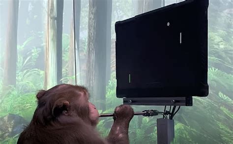 Neuralink Monkey Image Gallery Sorted By Oldest List View Know