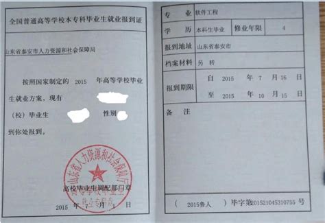 五部门发文：今年起不再发放高校毕业生就业报到证 这意味着什么？ 搜狐大视野 搜狐新闻