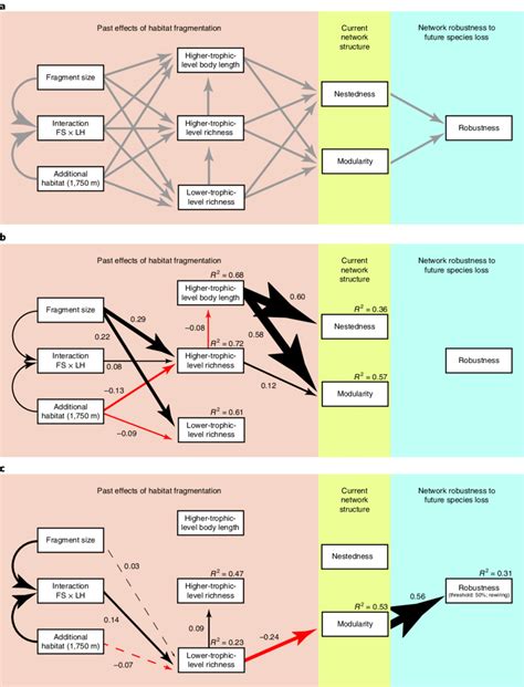 Sems Of The Effects Of Habitat Fragmentation On The Structure And Download Scientific Diagram