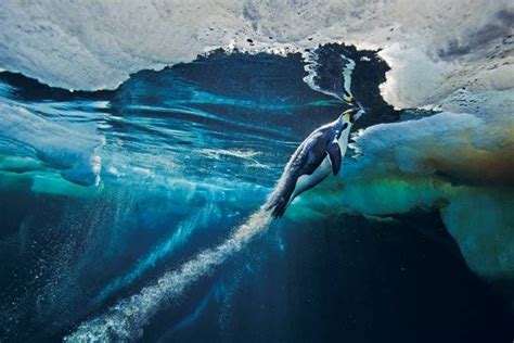 pingstampede code ¿quiénes somos y en qué creemos by pablo casaubon lm medium