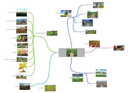 Agricultura 1 Coggle Diagram
