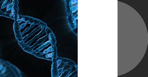 List Bioinformatics Curated By Ana Carolina Humberto Medium