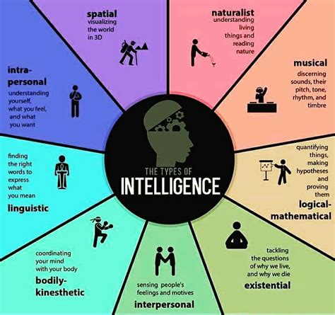 Different Types Of Intelligence Social Skills Activities Brain Activities Types Of