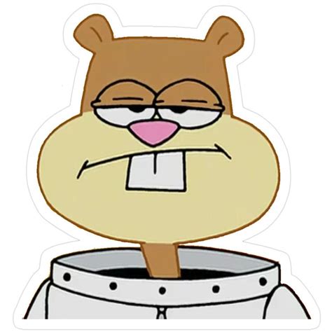 Sandy Cheeks Sticker Meme Stickers Spongebob Stickers