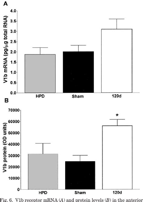 Figure 6 From The Role Of Hypothalamic Input On Corticotroph Maturation