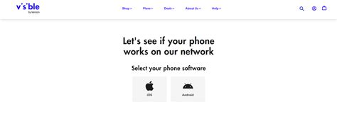 How To Fix Visible Service Not Working Networkbuildz