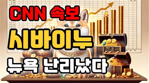 시바이누 Cnn 속보 뉴욕 난리났습니다 Youtube