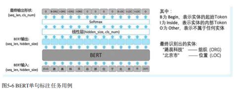 【万字详解】bert模型总体架构与输入形式、预训练任务、应用方法 bert模型结构 csdn博客