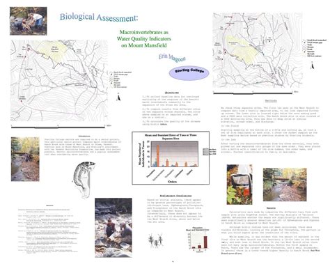 Macroinvertebrates As Water Quality Indicators On Mount Mansfield Ppt Download