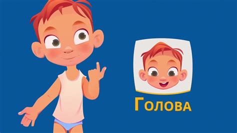 Учим части тела Базовый словарный запас Дошкольная биология Тело человека Youtube