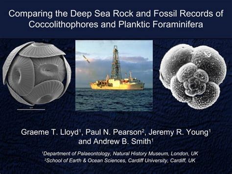 Comparing The Deep Sea Rock And Fossil Records Of Coccolithophores And Planktic Foraminifera